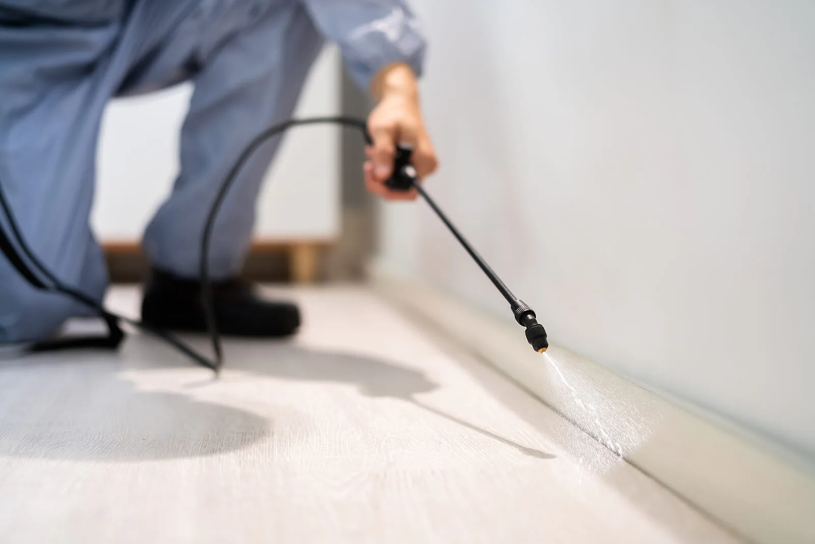 Serval Pest Integrated Management